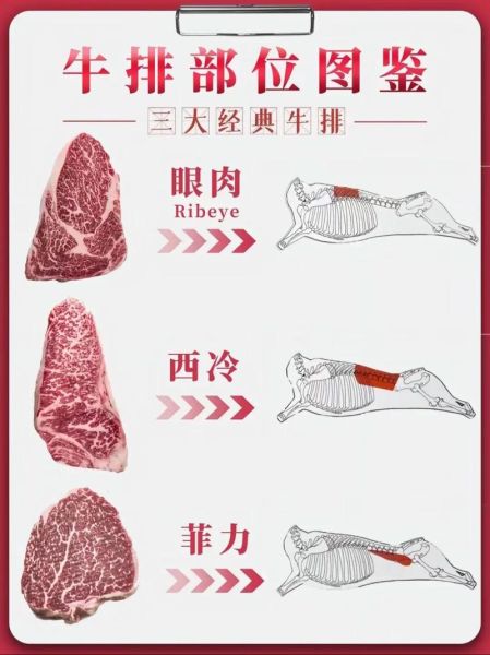 西餐牛排有哪些种类_牛排部位怎么选-第3张图片-山城妙识 西餐牛排有哪些种类_牛排部位怎么选-第3张图片-山城妙识