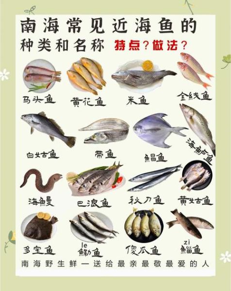 深海鱼有哪些种类_深海鱼营养价值排行榜-第1张图片-山城妙识 深海鱼有哪些种类_深海鱼营养价值排行榜-第1张图片-山城妙识