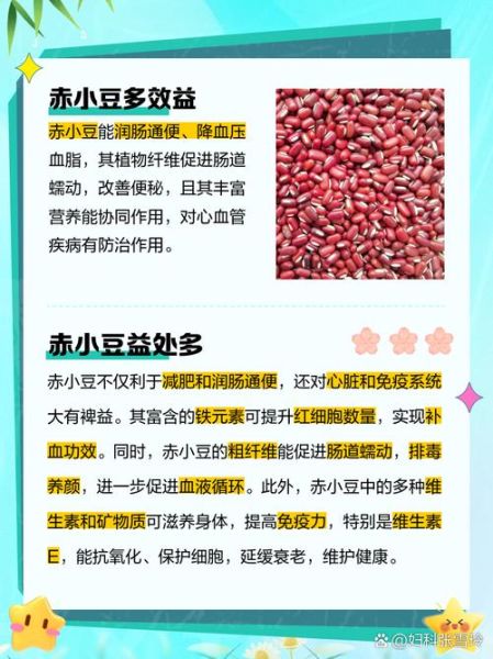 赤小豆的功效与作用_赤小豆的禁忌人群-第2张图片-山城妙识