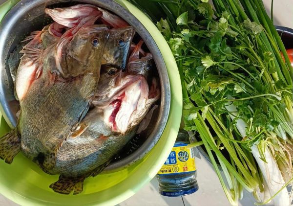 臭鳜鱼怎么腌制_臭鳜鱼腌制方法视频-第3张图片-山城妙识