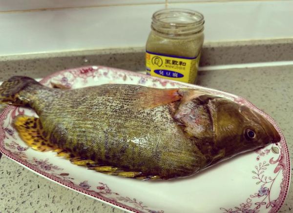 臭鳜鱼怎么腌制_臭鳜鱼腌制方法视频-第1张图片-山城妙识