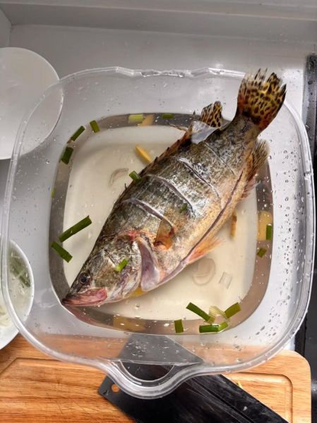 鳜鱼适合清蒸还是红烧_鳜鱼怎么做好吃又简单-第2张图片-山城妙识