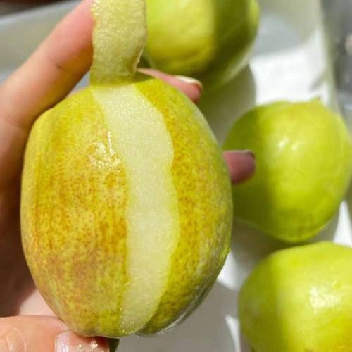 香梨热量是多少_香梨减肥能吃吗-第3张图片-山城妙识