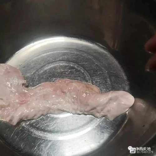 猪胰长什么样_猪胰图片真假辨别-第1张图片-山城妙识 猪胰长什么样_猪胰图片真假辨别-第1张图片-山城妙识