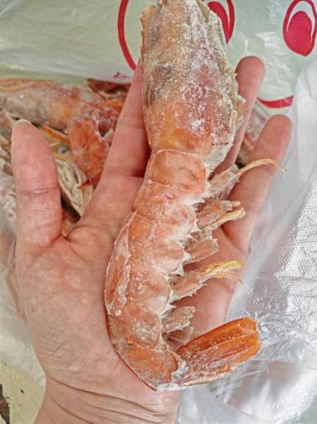 阿根廷红虾多少钱一斤_阿根廷红虾价格影响因素-第1张图片-山城妙识