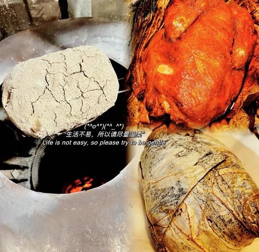 叫花鸡产地哪里的正宗_正宗叫花鸡来自哪里-第3张图片-山城妙识