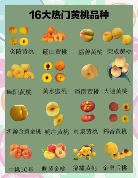 黄桃的功效与作用_黄桃的禁忌人群有哪些-第2张图片-山城妙识