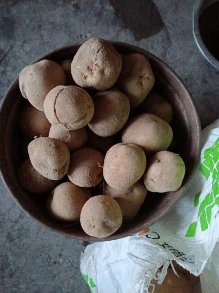 烤山药什么梗_怎么回-第1张图片-山城妙识