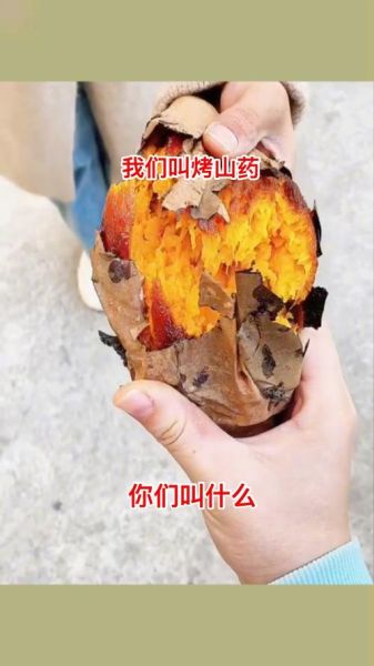 烤山药什么梗_怎么回-第3张图片-山城妙识