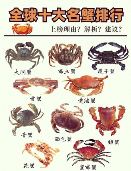 蟹类大全及名字_常见蟹种有哪些-第1张图片-山城妙识 蟹类大全及名字_常见蟹种有哪些-第1张图片-山城妙识