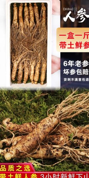 白参的功效与作用_白参的副作用有哪些-第2张图片-山城妙识 白参的功效与作用_白参的副作用有哪些-第2张图片-山城妙识