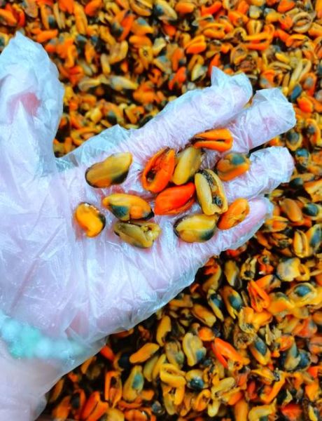 淡菜的营养价值及功效与作用_淡菜怎么吃最营养-第3张图片-山城妙识 淡菜的营养价值及功效与作用_淡菜怎么吃最营养-第3张图片-山城妙识