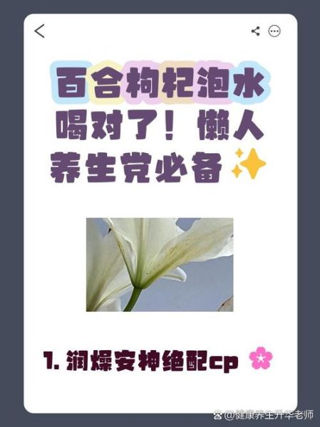 百合泡水喝的禁忌_哪些人不能喝百合水-第3张图片-山城妙识 百合泡水喝的禁忌_哪些人不能喝百合水-第3张图片-山城妙识