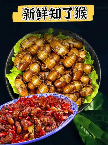 冻过的金蝉怎么做好吃_冷冻金蝉最佳做法-第3张图片-山城妙识 冻过的金蝉怎么做好吃_冷冻金蝉最佳做法-第3张图片-山城妙识