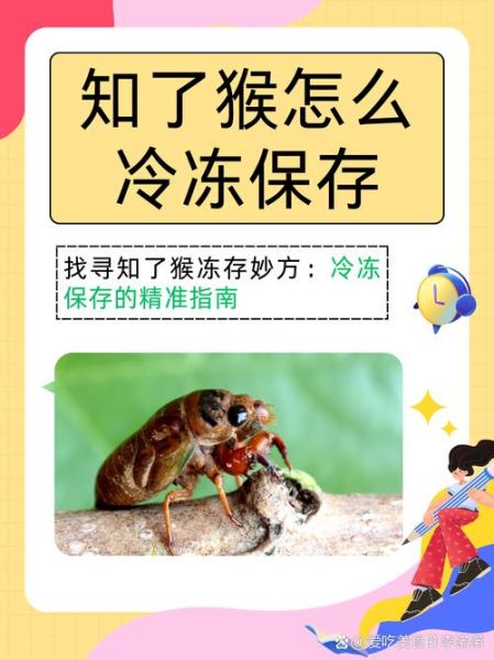 冻过的金蝉怎么做好吃_冷冻金蝉最佳做法-第1张图片-山城妙识 冻过的金蝉怎么做好吃_冷冻金蝉最佳做法-第1张图片-山城妙识