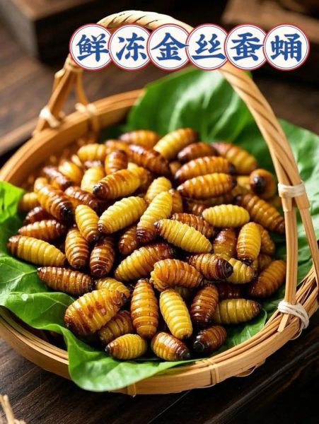 蚕蛹能壮阳吗_蚕蛹壮阳是真的吗-第1张图片-山城妙识