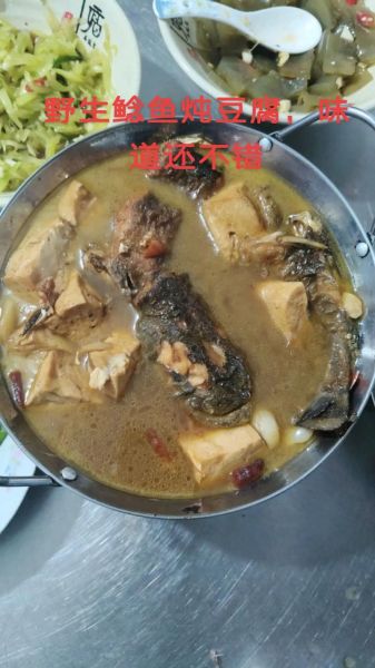 鲶鱼炖豆腐汤怎么做_鲶鱼炖豆腐汤的家常做法-第2张图片-山城妙识 鲶鱼炖豆腐汤怎么做_鲶鱼炖豆腐汤的家常做法-第2张图片-山城妙识