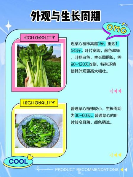 菜心苗和菜心的区别_哪个更营养-第2张图片-山城妙识 菜心苗和菜心的区别_哪个更营养-第2张图片-山城妙识