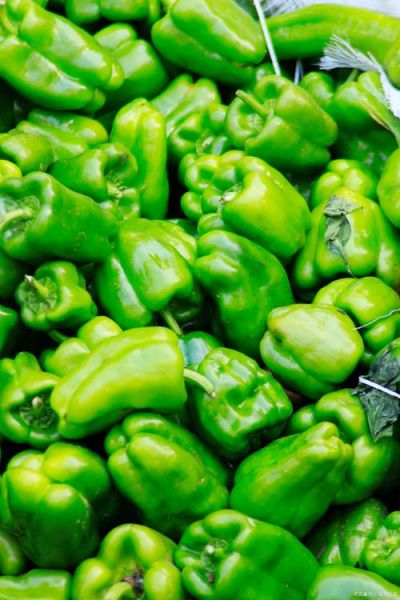 蔬菜图片大全_如何拍摄高清蔬菜图-第1张图片-山城妙识