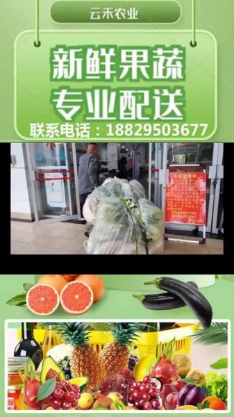 蔬菜配送公司怎么选_蔬菜配送价格贵吗-第3张图片-山城妙识 蔬菜配送公司怎么选_蔬菜配送价格贵吗-第3张图片-山城妙识