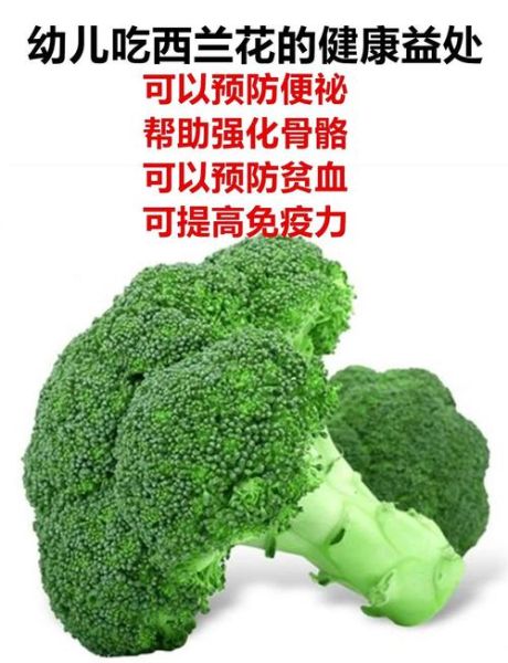 西兰花可以生吃吗_生吃西兰花安全吗-第2张图片-山城妙识 西兰花可以生吃吗_生吃西兰花安全吗-第2张图片-山城妙识