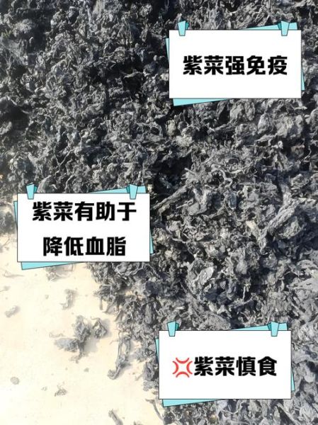 长期吃紫菜的好处和坏处_长期吃紫菜有什么危害-第1张图片-山城妙识