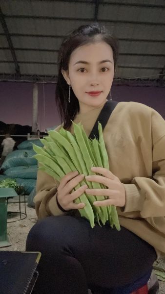 扁豆看电影直播在哪看_扁豆看电影直播安全吗-第2张图片-山城妙识 扁豆看电影直播在哪看_扁豆看电影直播安全吗-第2张图片-山城妙识