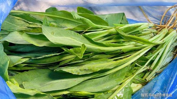 感冒吃什么菜比较好_感冒期间适合吃什么蔬菜-第3张图片-山城妙识