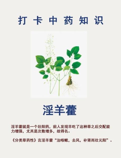 霪羊藿吃一次硬的_霪羊藿一次吃多少才有效-第2张图片-山城妙识