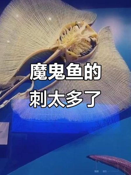 魔鬼鱼能吃吗_魔鬼鱼有毒吗-第1张图片-山城妙识 魔鬼鱼能吃吗_魔鬼鱼有毒吗-第1张图片-山城妙识