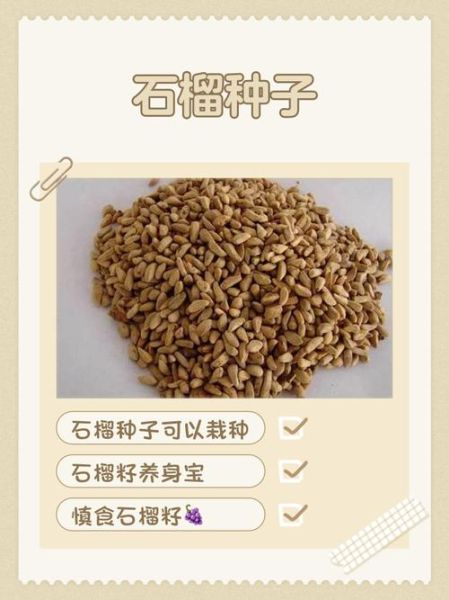 石榴籽的功效与作用_石榴籽有副作用吗-第1张图片-山城妙识 石榴籽的功效与作用_石榴籽有副作用吗-第1张图片-山城妙识