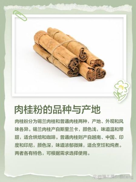 肉桂粉是什么东西_肉桂粉的功效与作用-第1张图片-山城妙识 肉桂粉是什么东西_肉桂粉的功效与作用-第1张图片-山城妙识