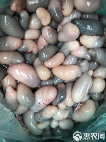 鸡腰子是鸡的什么部位_鸡腰子营养价值高吗-第2张图片-山城妙识 鸡腰子是鸡的什么部位_鸡腰子营养价值高吗-第2张图片-山城妙识