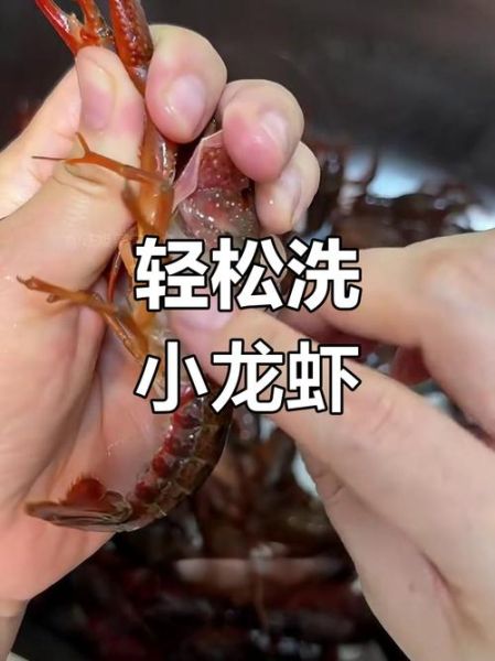 小龙虾太脏了怎么清洗_小龙虾清洗方法-第1张图片-山城妙识 小龙虾太脏了怎么清洗_小龙虾清洗方法-第1张图片-山城妙识