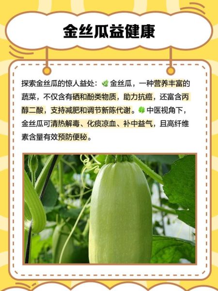 金丝瓜怎么做好吃_金丝瓜最简单的家常做法-第1张图片-山城妙识