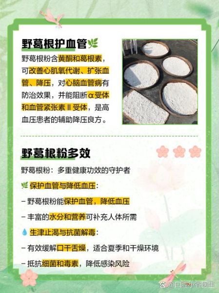 葛粉的作用与功效_葛粉的药用价值有哪些-第2张图片-山城妙识