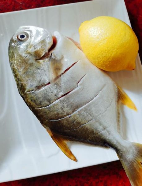 金昌鱼是海鱼吗_金昌鱼淡水还是海水-第1张图片-山城妙识