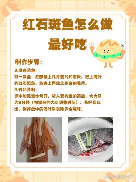 红石斑鱼多少钱一斤_红石斑鱼怎么做好吃-第1张图片-山城妙识