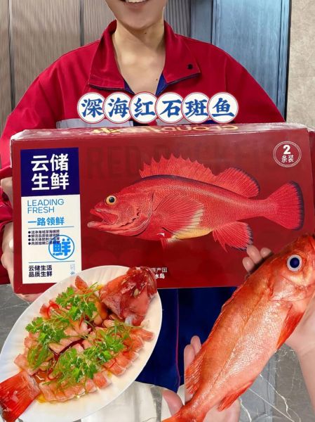 红石斑鱼多少钱一斤_红石斑鱼怎么做好吃-第3张图片-山城妙识