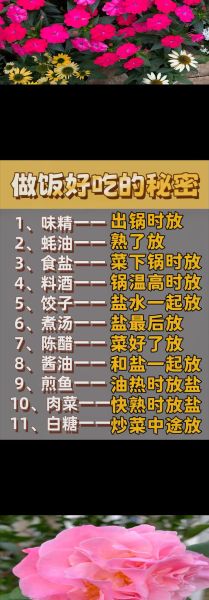 耗油炒菜什么时候放_蚝油最佳下锅时间-第2张图片-山城妙识