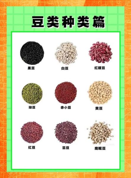 豆类品种图片名称大全_如何快速识别常见豆类-第2张图片-山城妙识