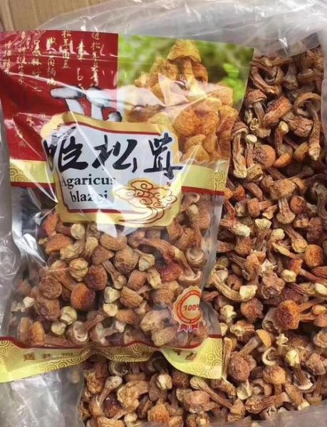 姬松茸的功效与禁忌_姬松茸什么人不能吃-第2张图片-山城妙识 姬松茸的功效与禁忌_姬松茸什么人不能吃-第2张图片-山城妙识