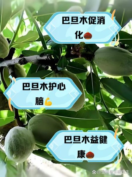 孕妇能吃巴旦木吗_巴旦木对胎儿有影响吗-第1张图片-山城妙识