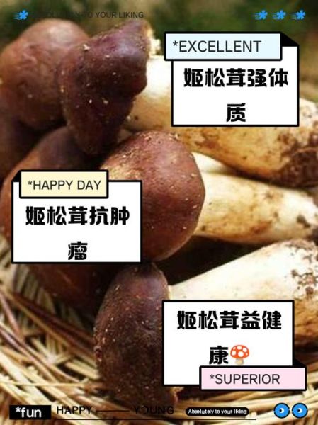 姬松茸的功效与禁忌_姬松茸什么人不能吃-第3张图片-山城妙识 姬松茸的功效与禁忌_姬松茸什么人不能吃-第3张图片-山城妙识