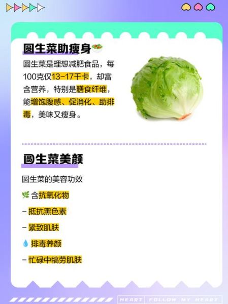 圆白菜可以生吃吗_圆白菜吃多了有什么坏处-第1张图片-山城妙识