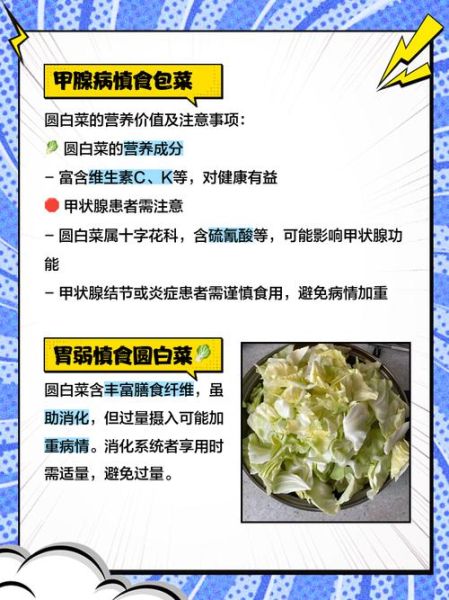 圆白菜可以生吃吗_圆白菜吃多了有什么坏处-第3张图片-山城妙识