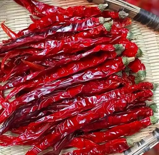 二荆条和灯笼椒哪个香_辣椒香味对比-第1张图片-山城妙识 二荆条和灯笼椒哪个香_辣椒香味对比-第1张图片-山城妙识