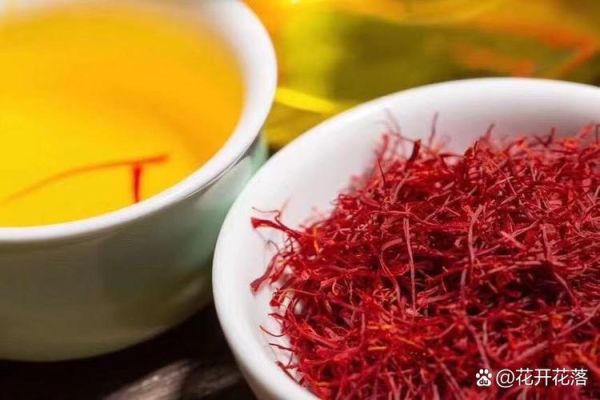 藏红花一次泡几根最好_藏红花泡水用量疑问-第2张图片-山城妙识