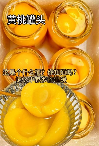 黄桃罐头什么梗_黄桃罐头为什么火了-第3张图片-山城妙识