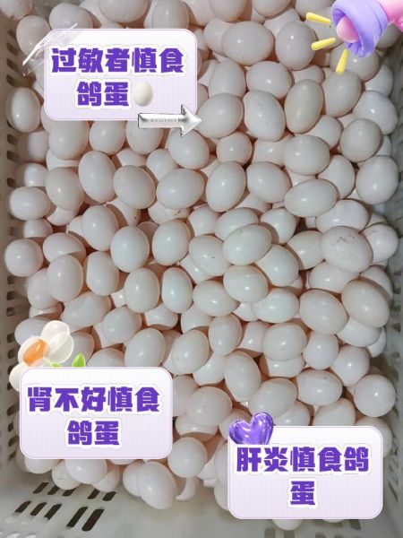 鸽子蛋哪些人不能吃_孕妇能吃鸽子蛋吗-第3张图片-山城妙识